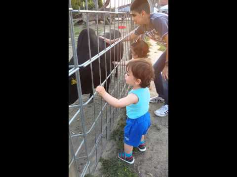 Miran und RoNaHi mit Rezan