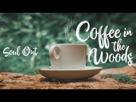 Coffee in The Woods - Soul Out | A Video By Q (Official Music Video)