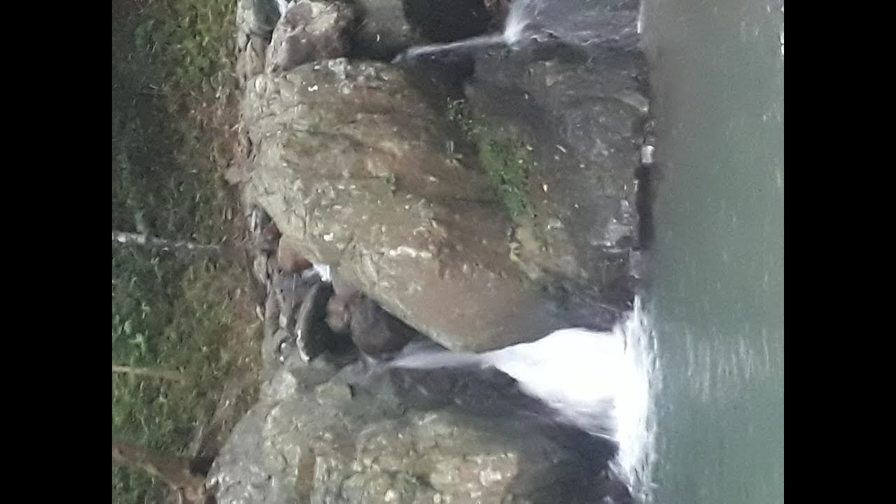 D.I.Y. STYRO BOX FISH TANK FILTER - YouTube