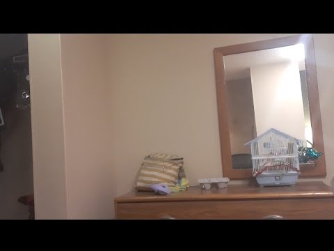 half naked Yoga stretching #yoga #naked #workout