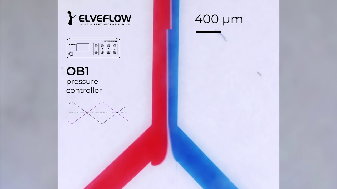 Flow focusing inside a microfluidic device using Elveflow OB1 Pressure Controller - YouTube
