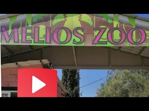 Exploring MELIOS ZOO - YouTube