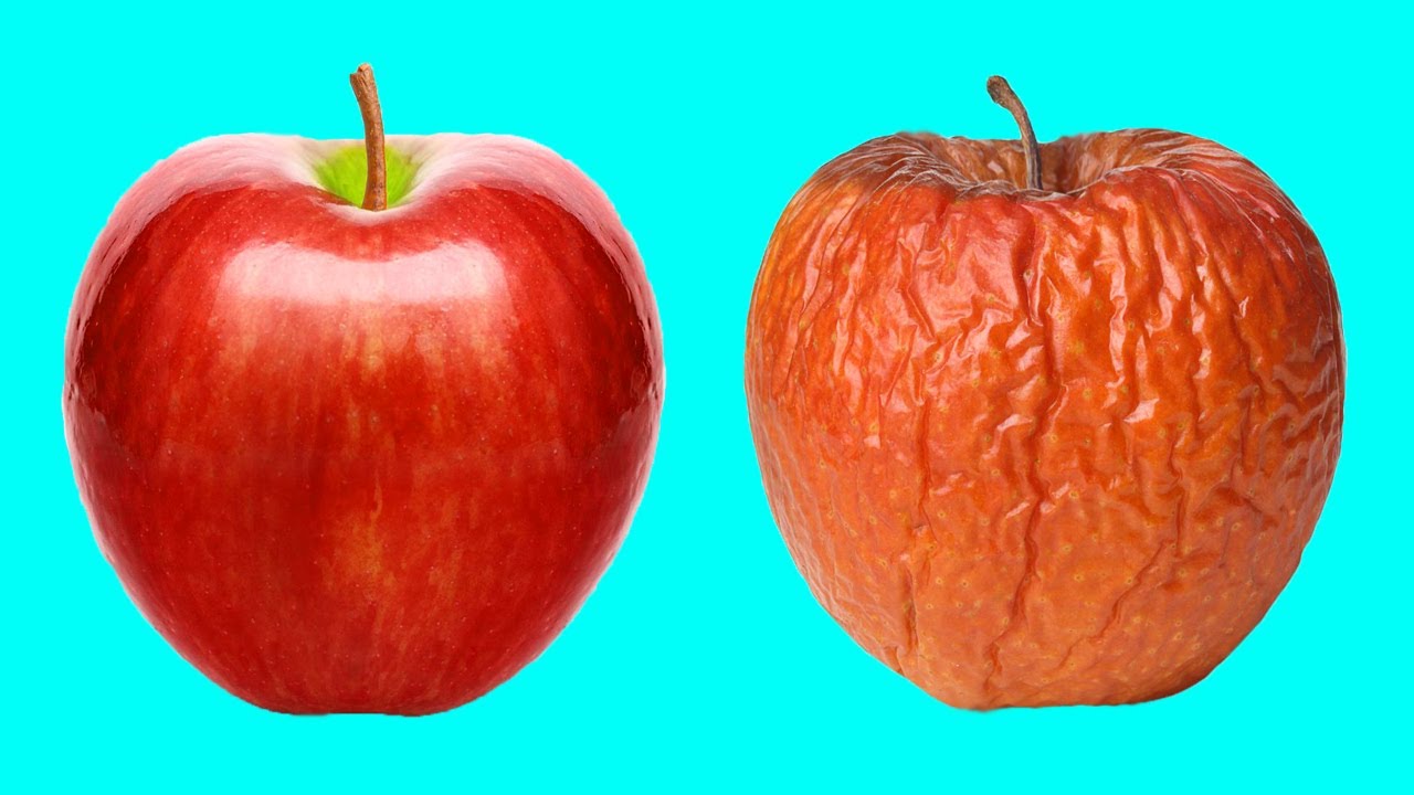 과일, 채소 및 버섯 내부의 숨겨진 패턴 스톱 모션. Hidden Patterns Inside Fruits, Vegetables ...