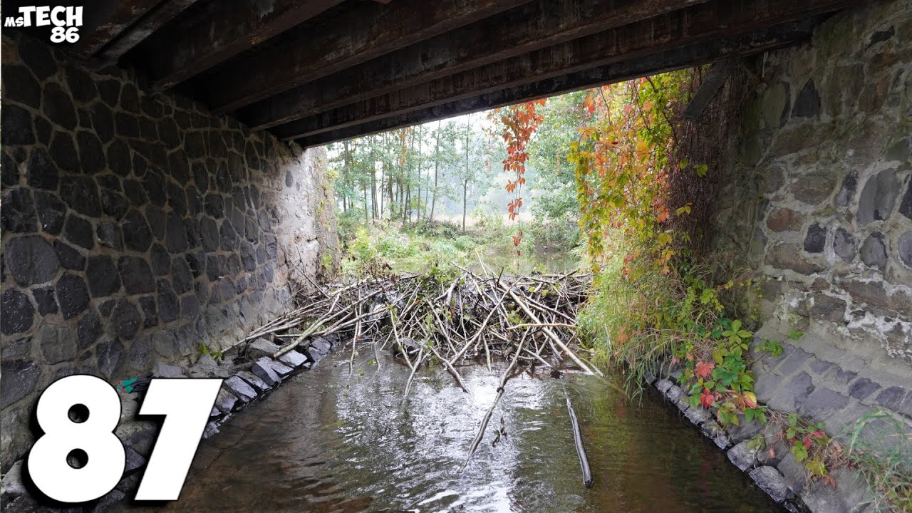 Beaver Dam Under The Bridge In Which Removal I Put A Lot Of Work - No ...