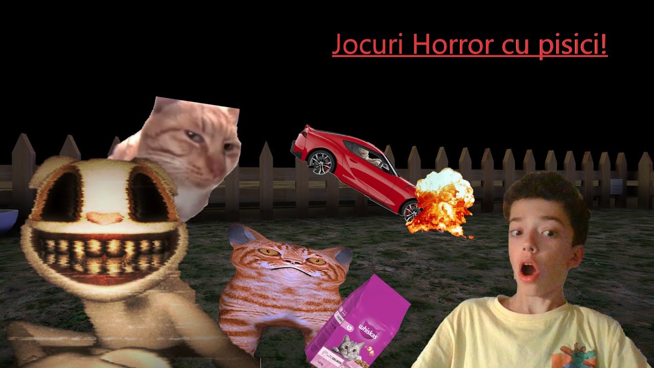 M-am jucat Jocuri Horror cu pisici! *mare greseala - YouTube