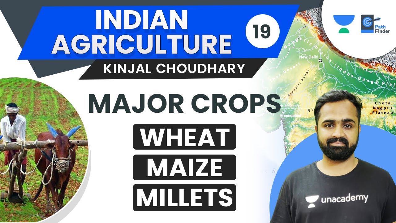 L19: Major Crops of India | Wheat ,Maize, Millets- Jowar, Ragi and ...
