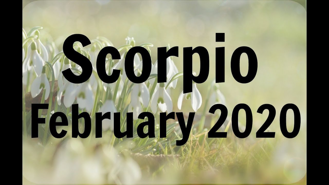 SCORPIO FEBRUARY 2020 * THINGS TURNING IN YOUR FAVOUR: VICTORIOUS NEW ...