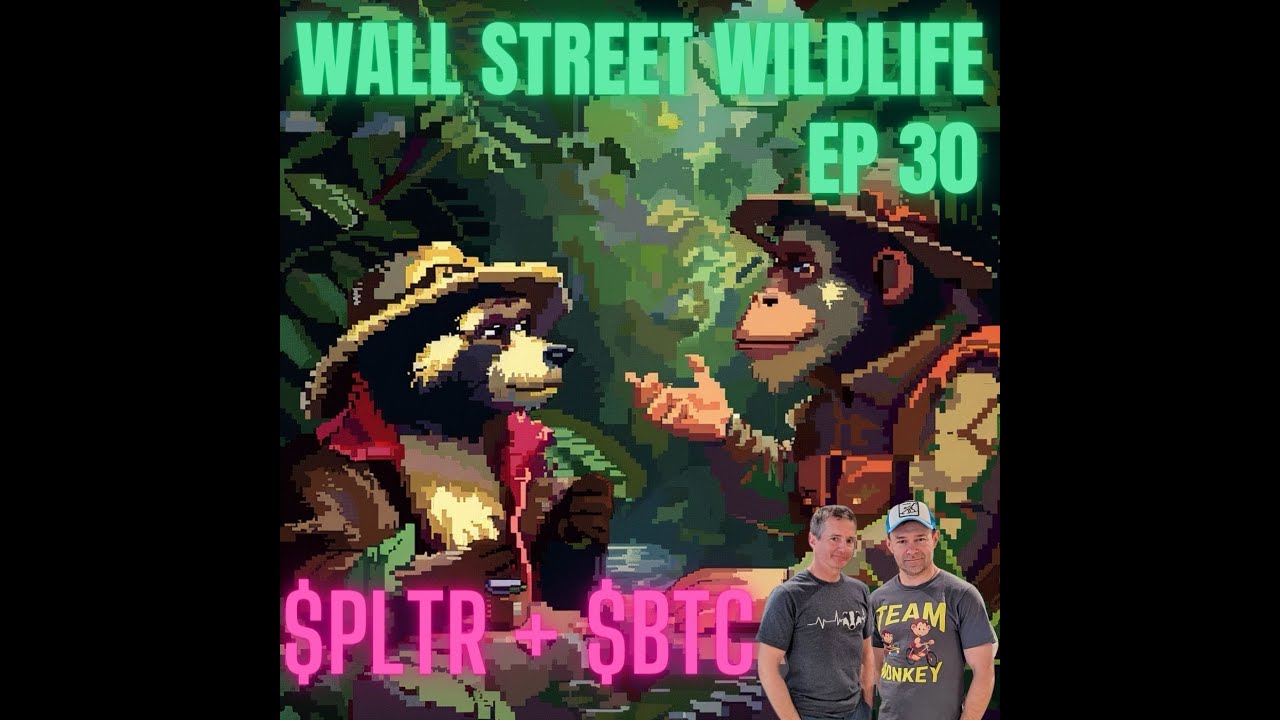 E30: First Mover's Edge - Being an Early Adopter, Palantir, & Politics ...