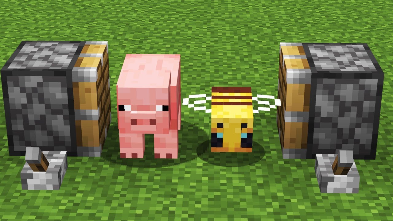 minecraft pig + bee =?? - YouTube