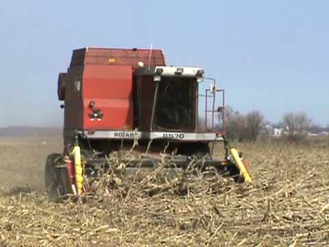 Drago Corn Head with Rollacone in Down Corn - YouTube