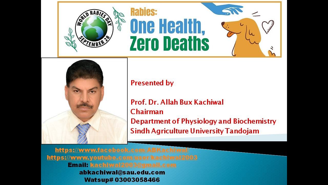 World Rabies Day theme 2023 is All for One, One Health for All - YouTube