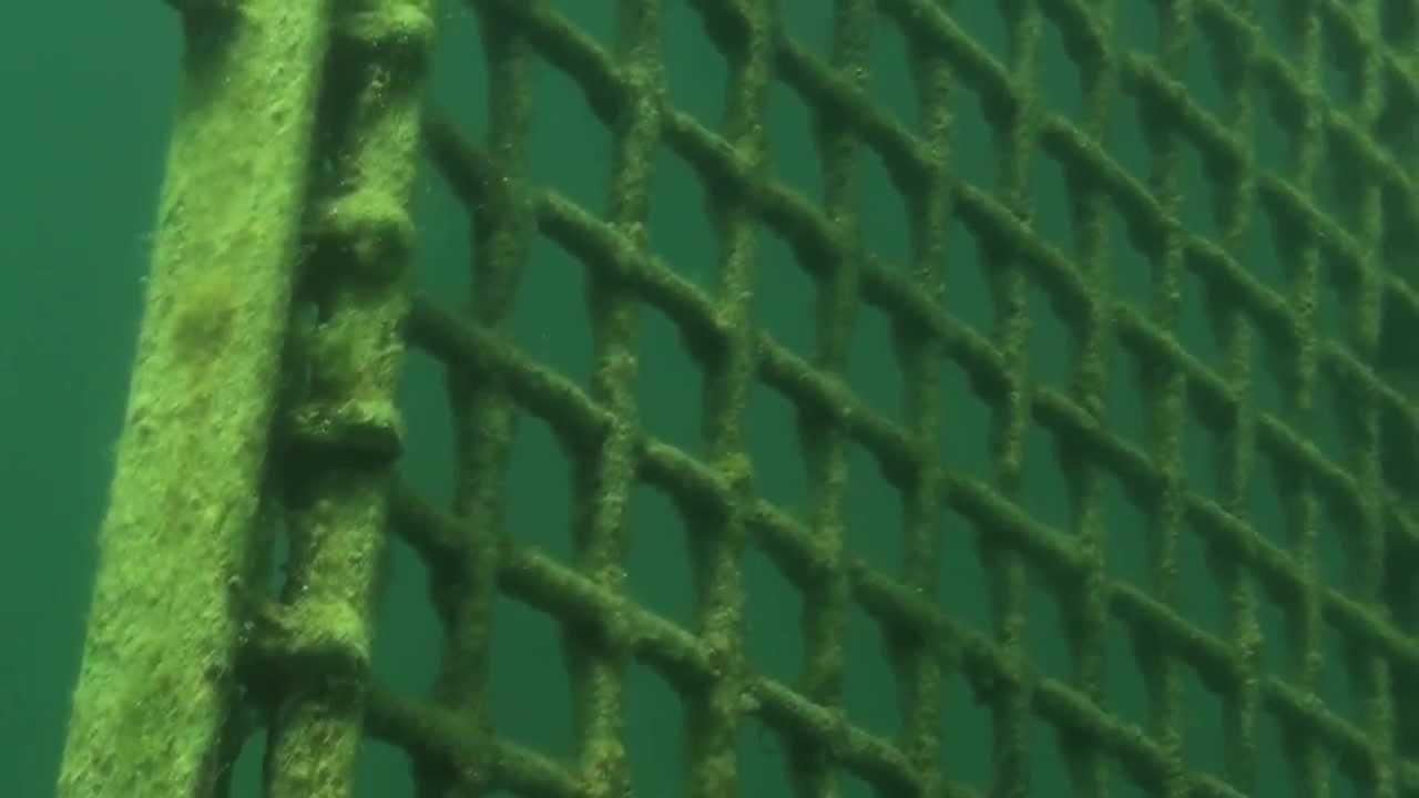 Diving Haigh Quarry 7/24/13 - YouTube