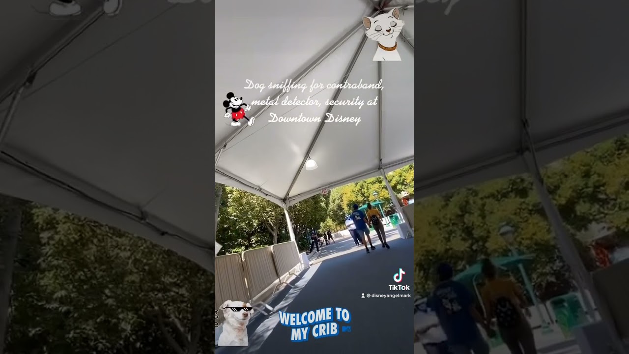Security at Disneyland - YouTube