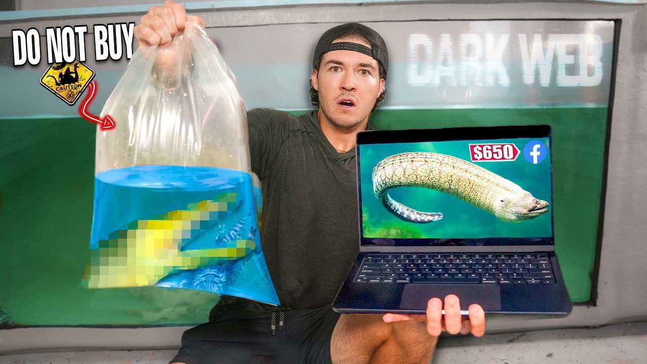 BUYING LIVE MORAY EEL OFF Facebook Marketplace! - YouTube