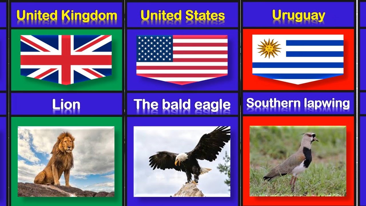National Animals of Countries Flags and Animals Comparisons. - YouTube