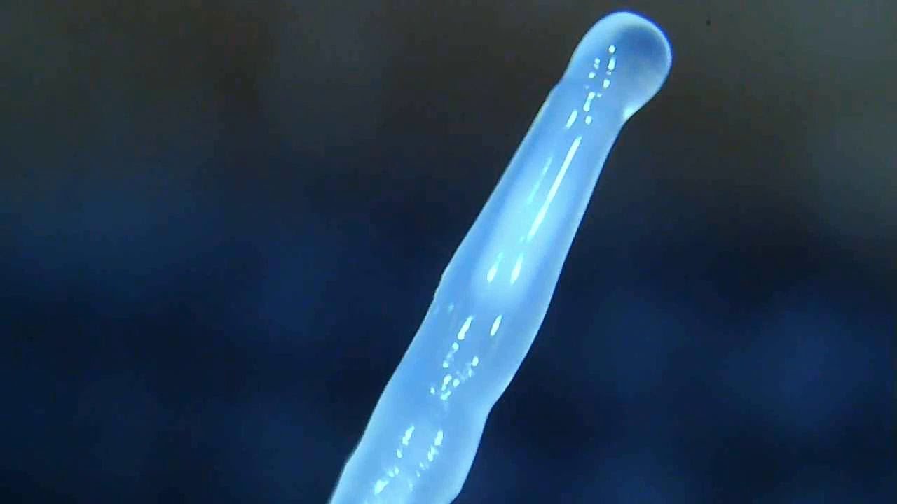 Beard Plucking : Microscope Art File(243) - YouTube