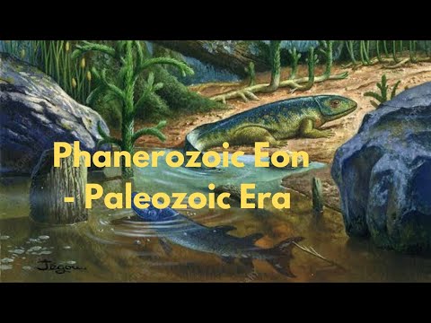 Paleozoic Era EXPOSED: From the Cambrian Explosion to the Permian ...