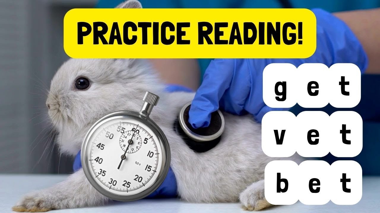 Reading Practice For 3-Letter Words | Practice Reading For Kids ...