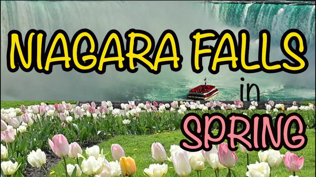 Niagara Falls in Spring 2023|Niagara Falls|Tulips|Cherry Blossom|Canada ...