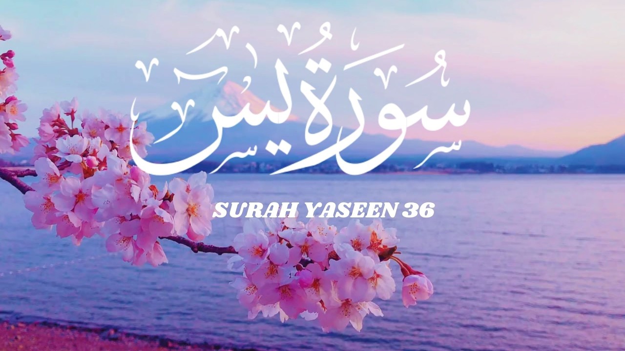 Surah yaseen 36, Yasin Surah,Recitaion with English Translation😊😊😍 ...