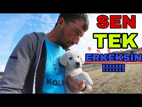 SEN TEK ERKEKSİN|YARDIMA GELEN TAKİPÇİLERİM|TUZ VAKTİ|YAMUR SEVİNCİ