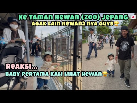 Bawa anak istri Jepang ke taman hewan, kambing pun di pajang