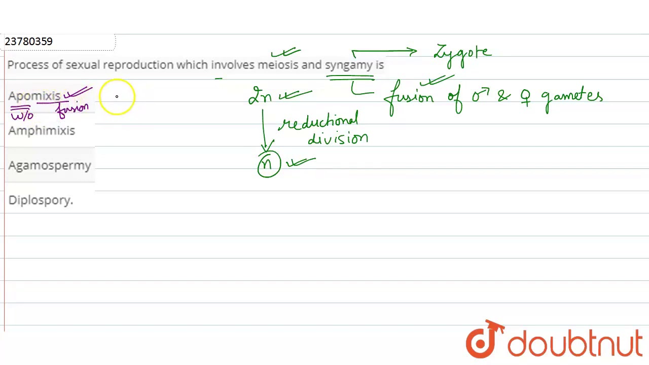 Process of sexual reproduction which involves meiosis and syngamy is ...