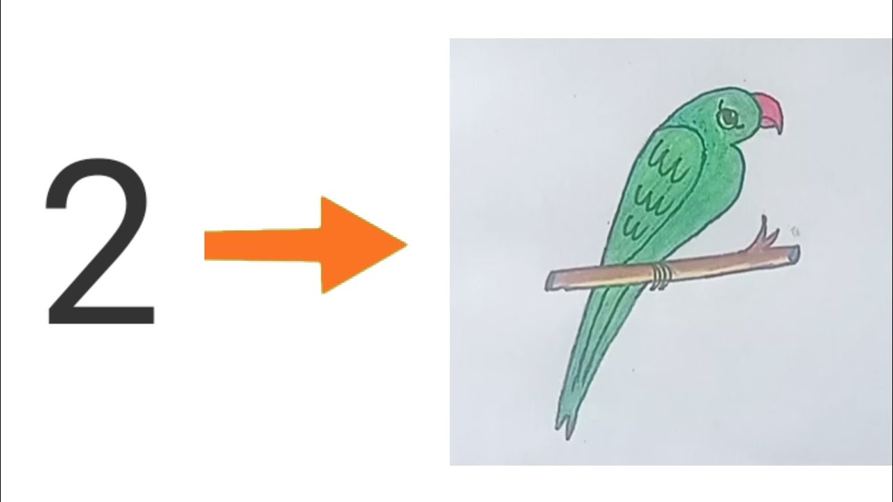 How to draw parrot with number 2 | easy drawing - YouTube