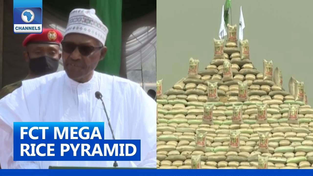 Unveiling Of Rice Pyramid Will Greatly Impact On The Cost Of Rice ...