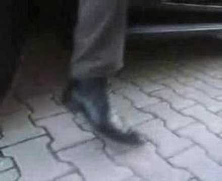 çakallar vadisi