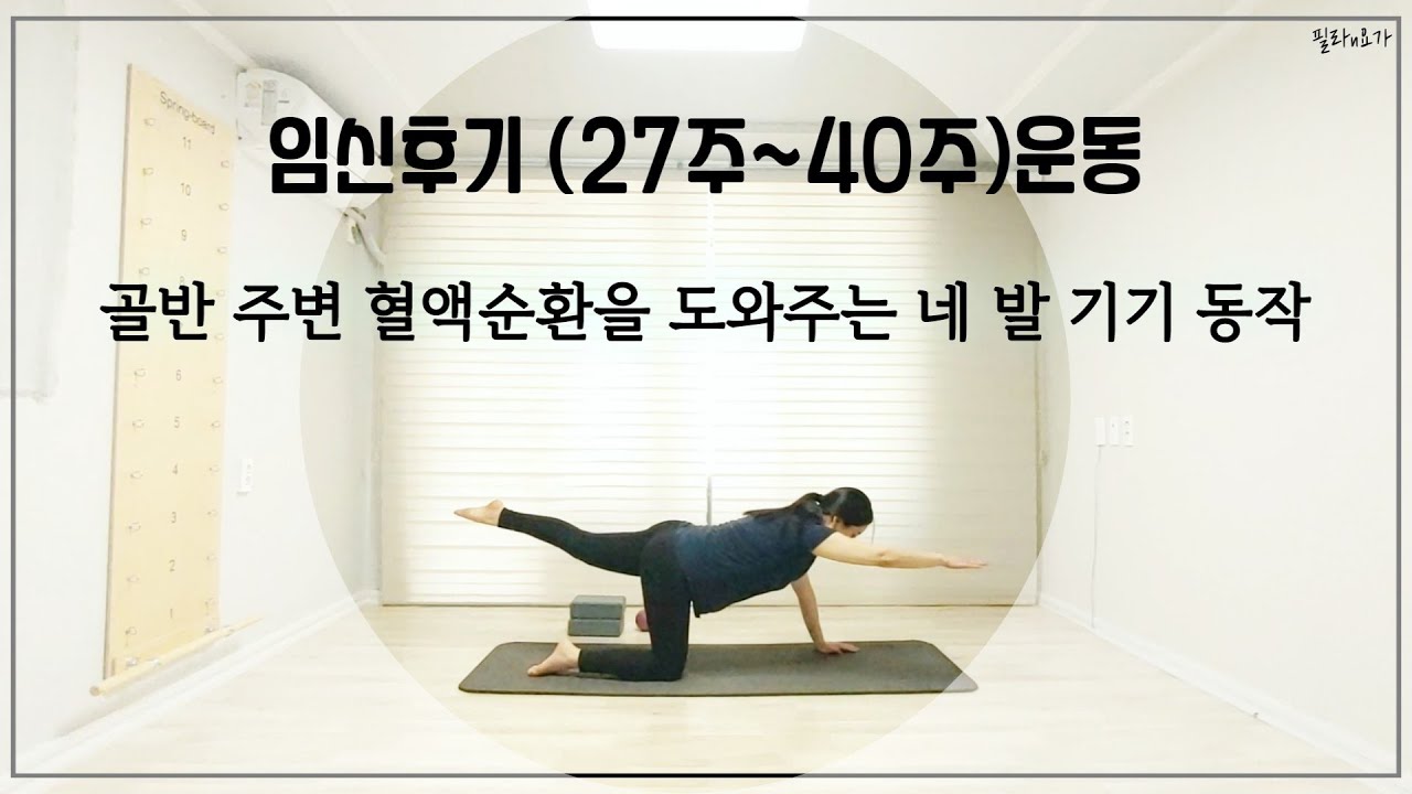 필라n요가 임신27주~40주 이상 후기임산부 운동 프로그램 네발기기자세 뱃속 공간 넓혀서 아기가 잘 움직일 수