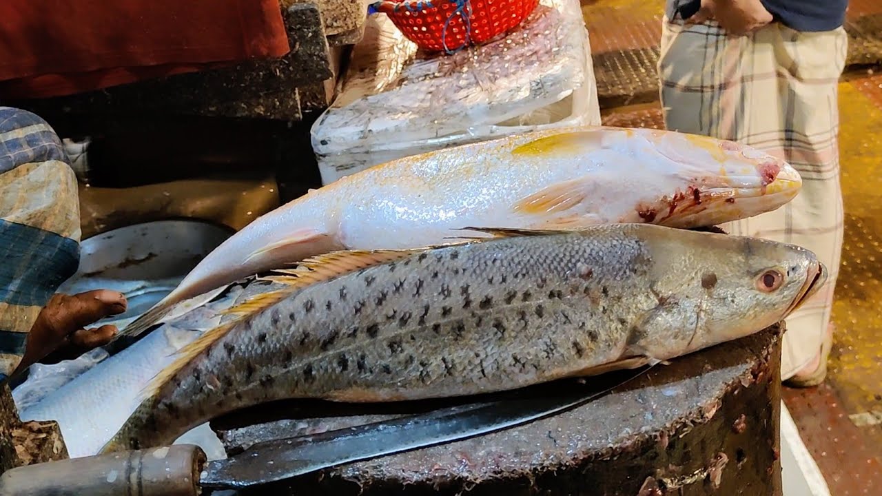 Amazing Poa Fish Cutting Skills Live In BD Fish Market। - YouTube