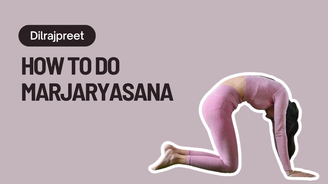 How To Do Marjaryasana (Cat Pose): Aligning Your Spine | Yoguebook ...