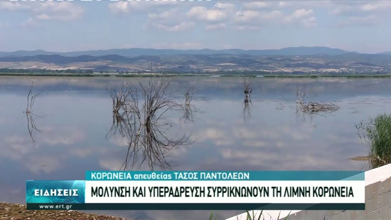 Μόλυνση και υπεράρδευση συρρικνώνουν τη λίμνη Κορώνεια | 04/06/2021 ...