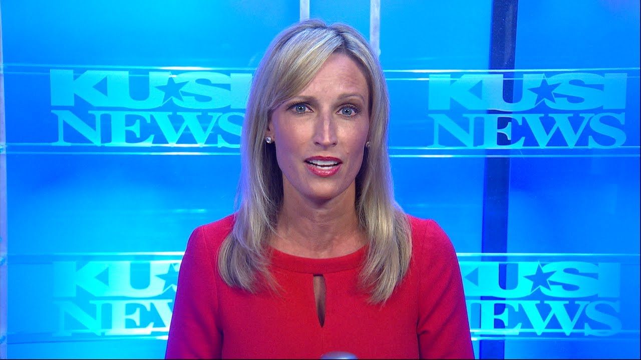 Supervisor Kristin Gaspar says opponent Terra Lawson-Remer will ...