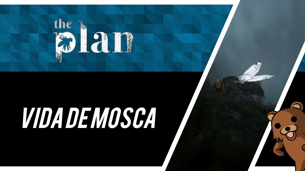 The Plan - Vida de Mosca (Jogo Grátis) - YouTube