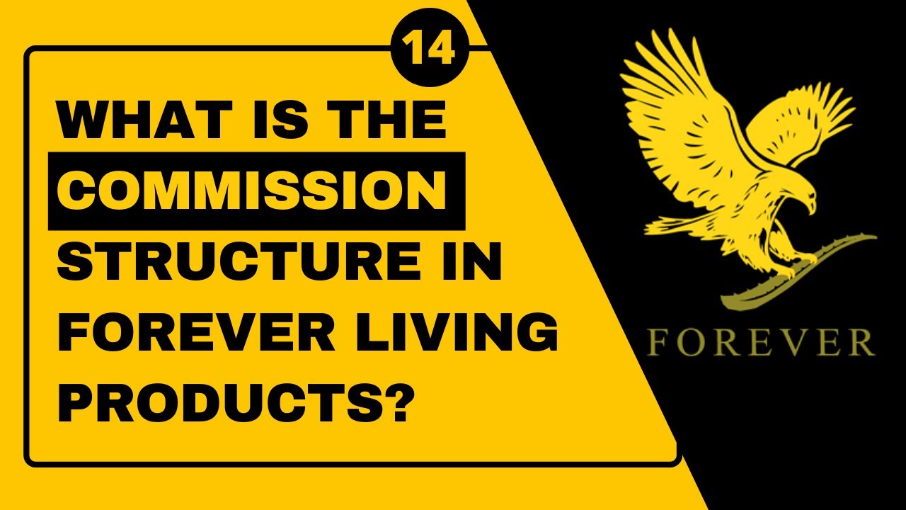 WHAT IS THE COMMISSION STRUCTURE IN FOREVER LIVING PRODUCTS? - YouTube
