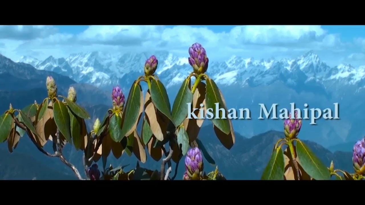 Baduli new garhwali song 2019 by गढरत्न Narendra shing negi with kishan ...