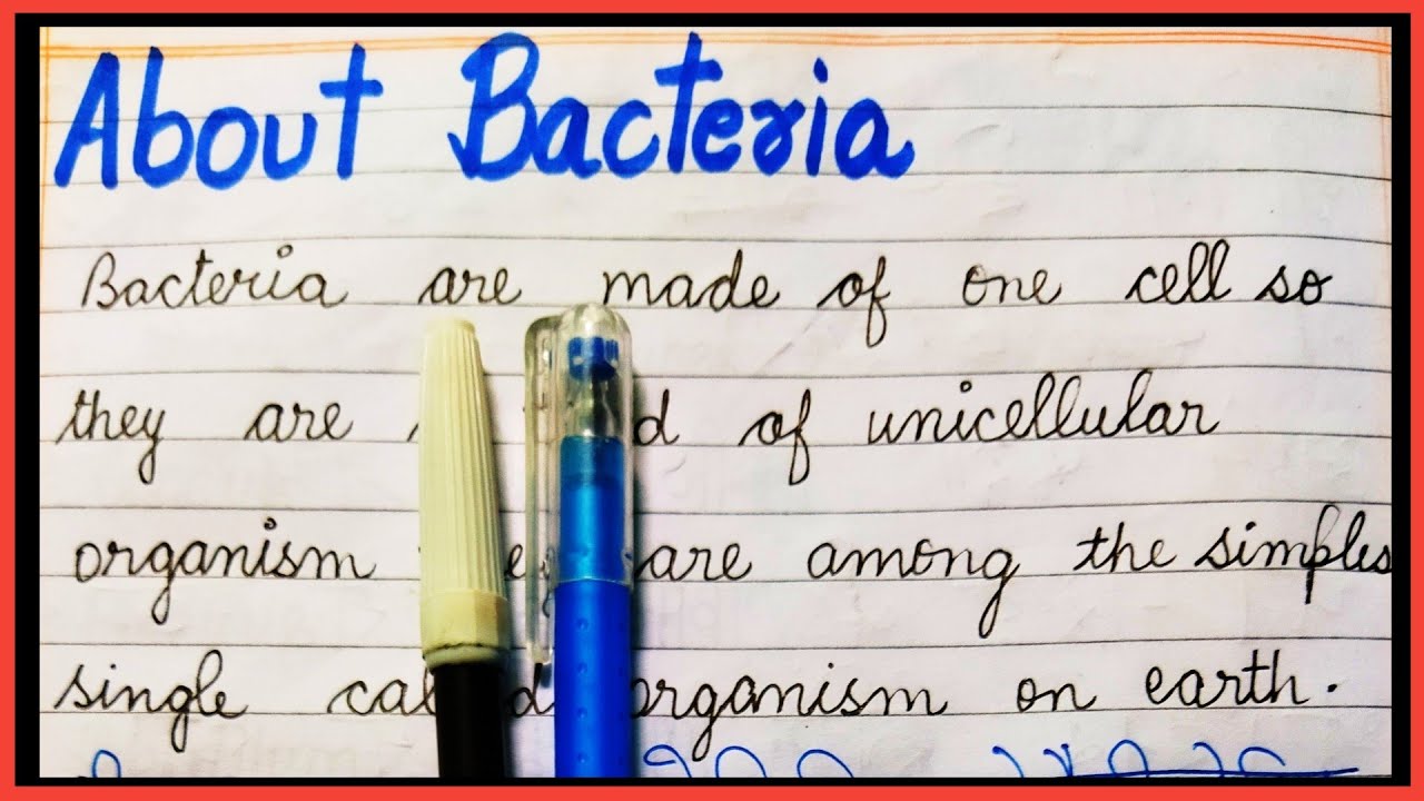 What are bacteria | Definition of bacteria - YouTube