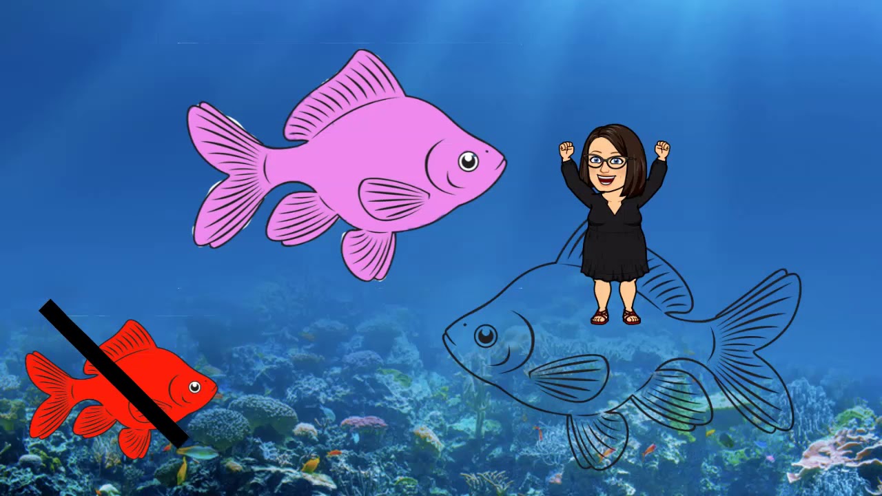 Poisson Rouge - YouTube