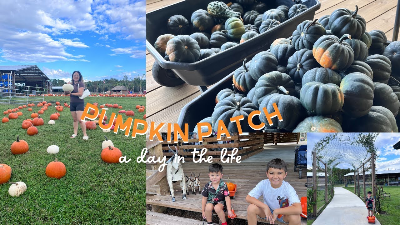 🍂Fall Vlog| Pumpkin Patch + a day in my life - YouTube
