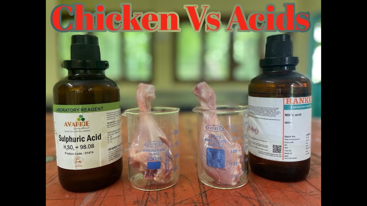 Vaporizing chicken in acid | Nitric Acid Sulfuric Acid VS Chicken Leg ...