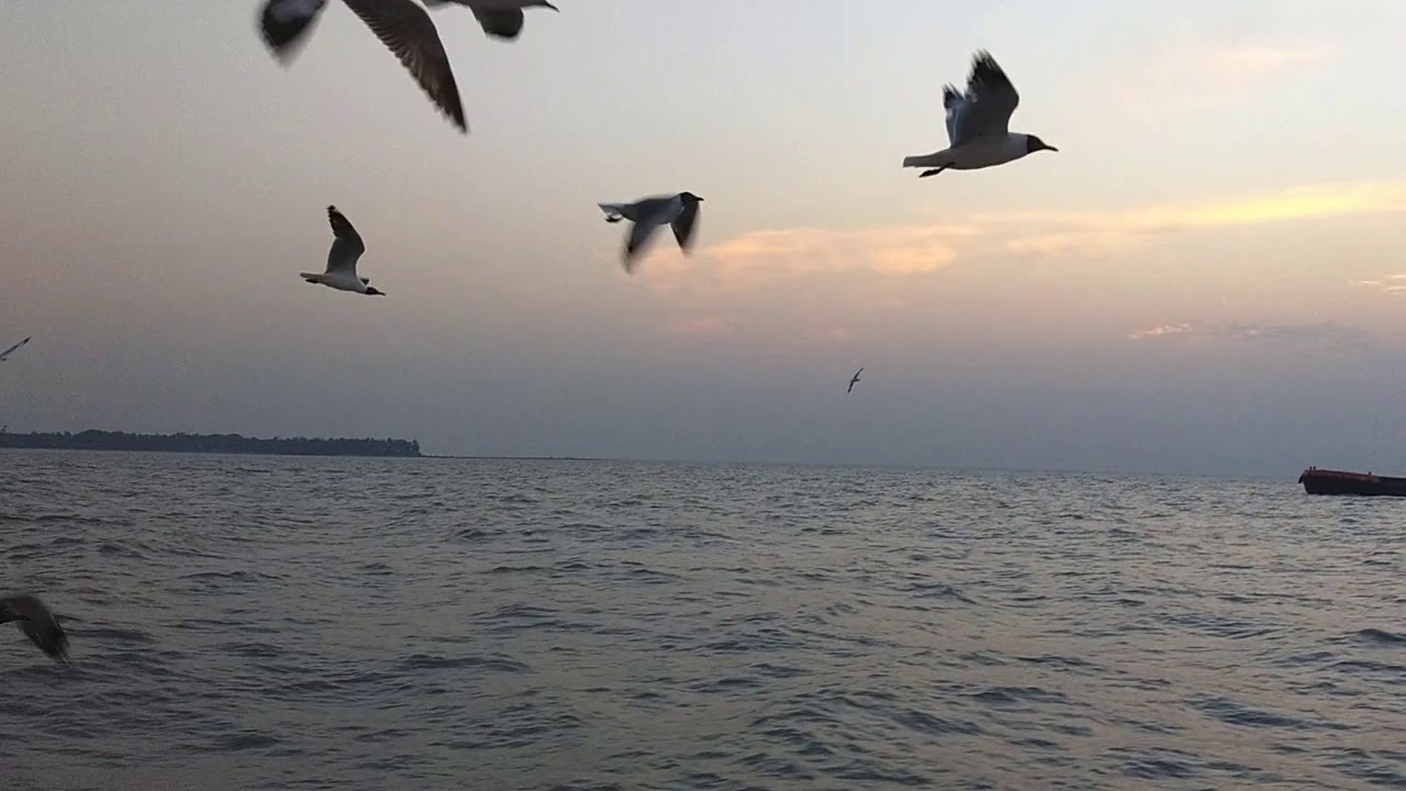 Alibag, Mandwa Jetty to Gateway of India - YouTube