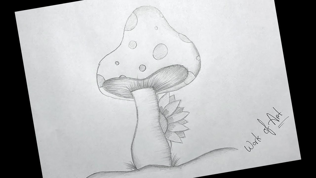 Easy Way to Draw Mushroom / Fungus Along With Sunflower Behind | Pencil ...