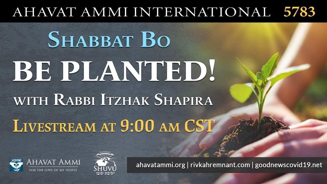 Worldwide Shacharit and Torah service for Parashat Bo 5783 - YouTube