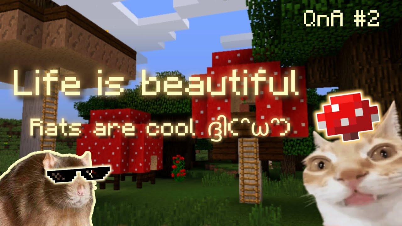 enjoying life and appreciating rats in minecraft 1.8 ദ്ദി(ᵔᗜᵔ) - YouTube