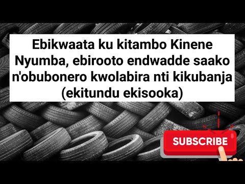 Ebikwaata ku kitambo kinene nyumba, ebirooto byekiloosa, endwadde ...