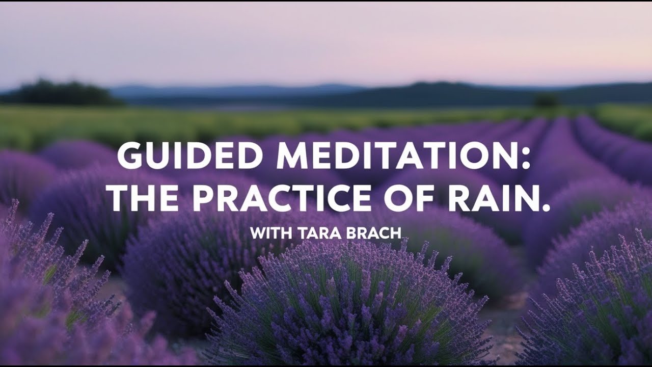 Tara Brach Guided Meditation: Transform Your Emotions with the RAIN ...