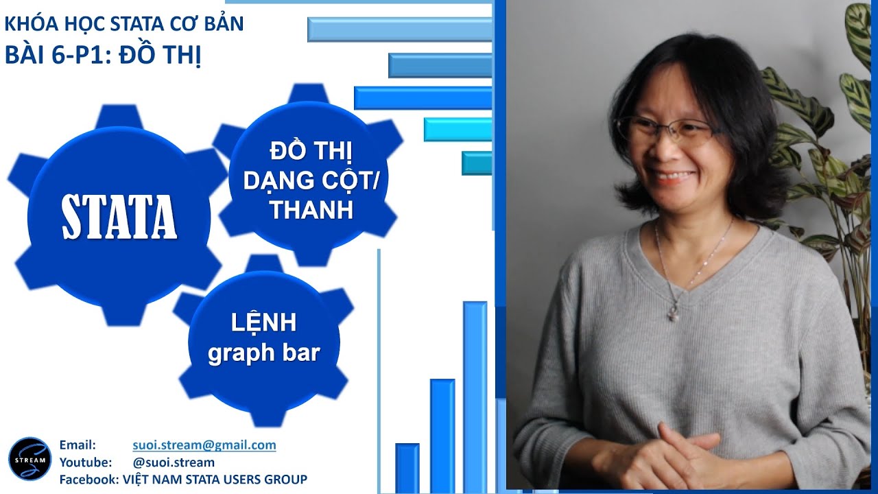 @suoi.stream | STATA cơ bản: B6-P1:Vẽ đồ thị, biểu đồ - Đồ thị cột - lệnh graph bar - YouTube