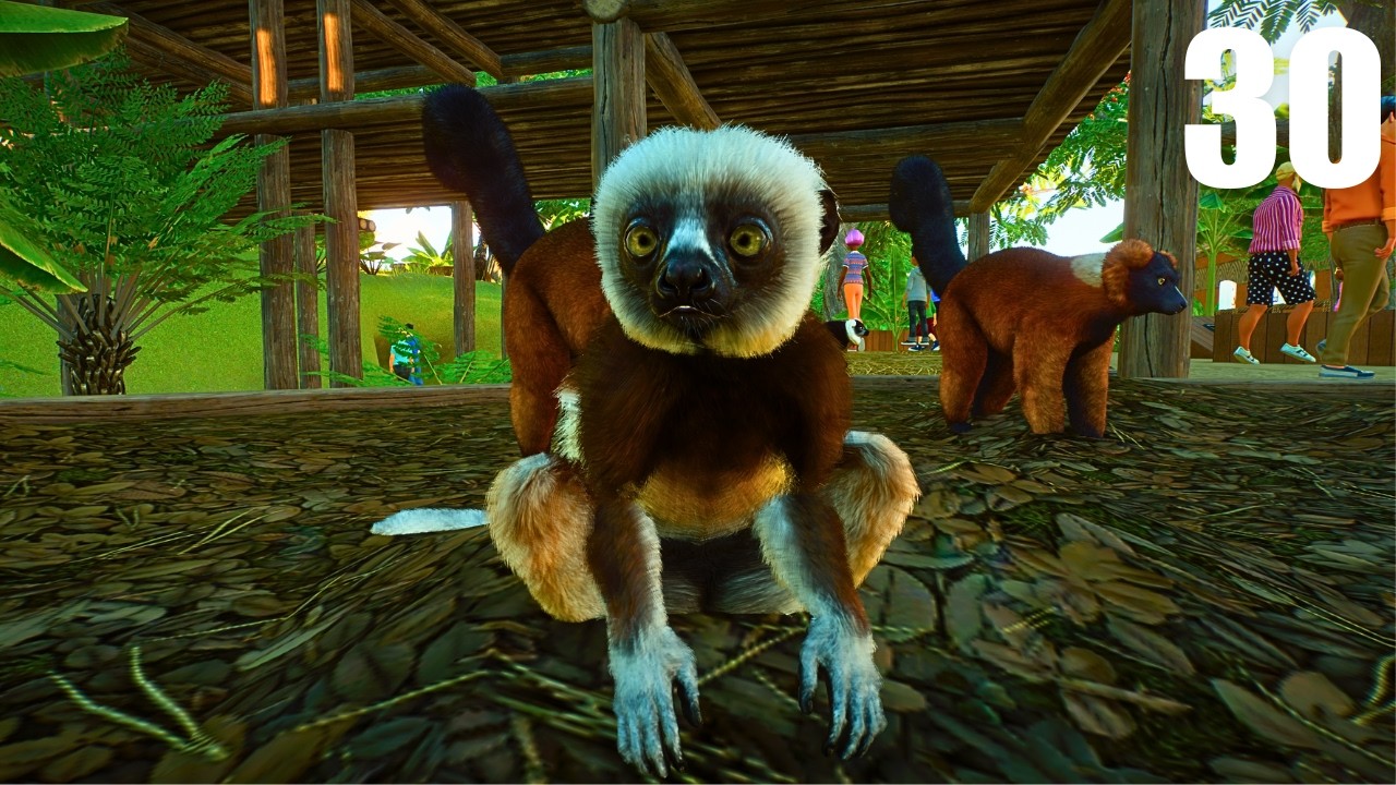4 Lemur Species share a HUGE Habitat in our Ethical Eco-Zoo - YouTube
